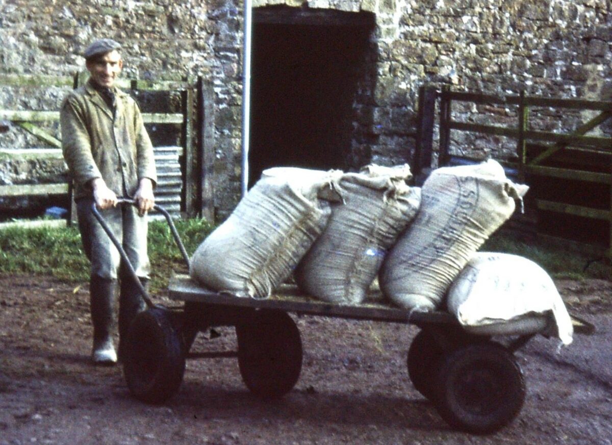 A Place Called Noxon – Forest of Dean Social History